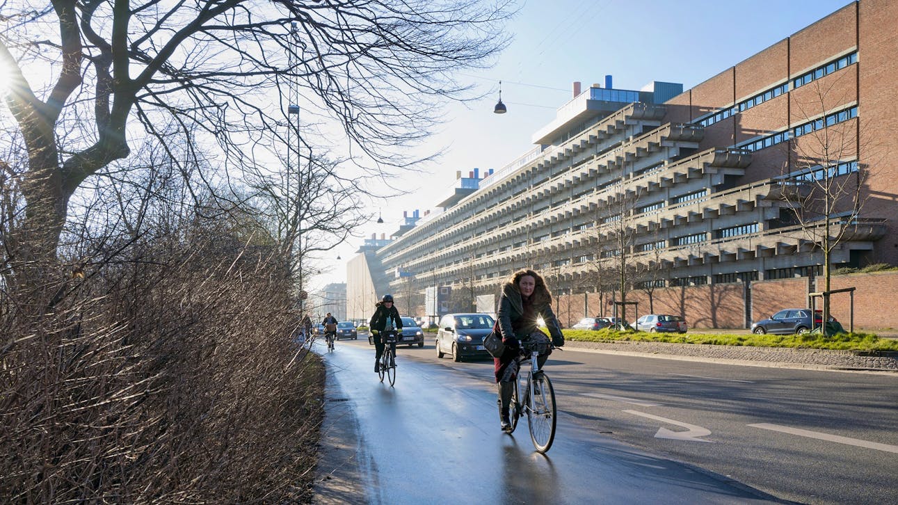 Oplev Panum Instituttet i København - Eva og Nils Koppels største ...